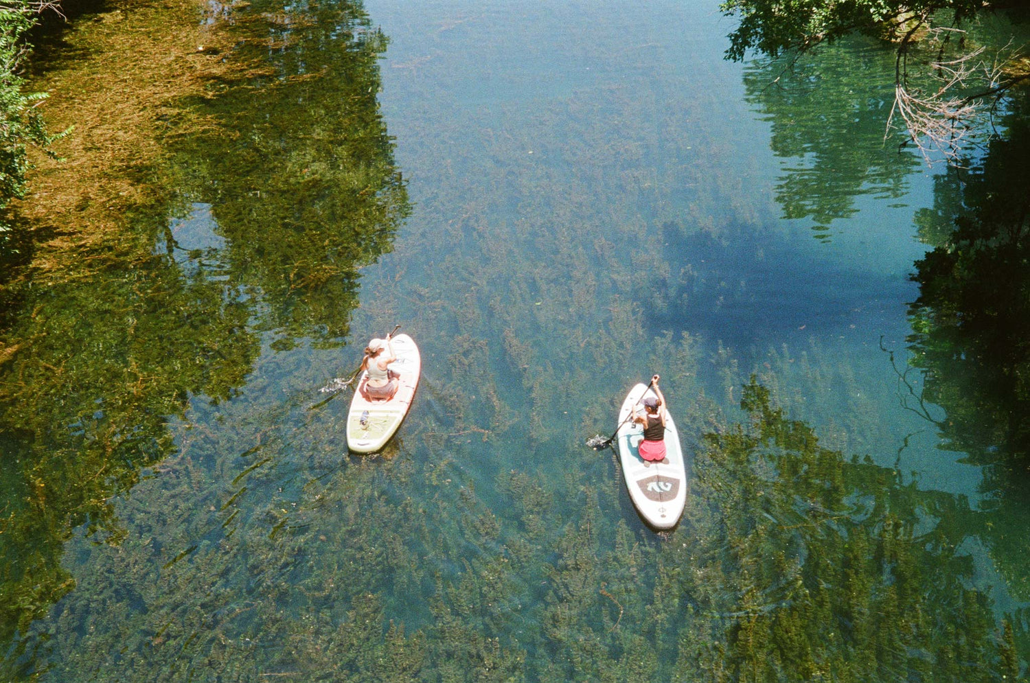 Photo walk with the Nikon One Touch Zoom 90S – Sidekick Camera